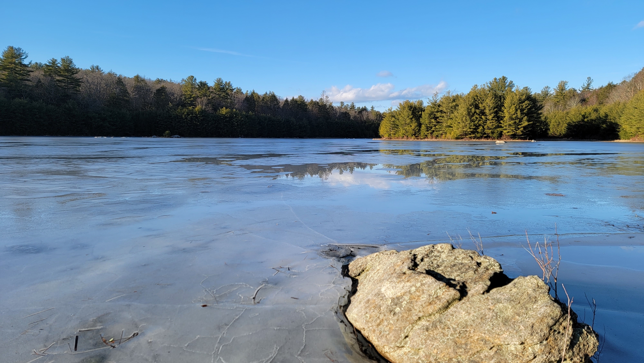 Prince River Preserve Barre, MA - Woodland Hiker